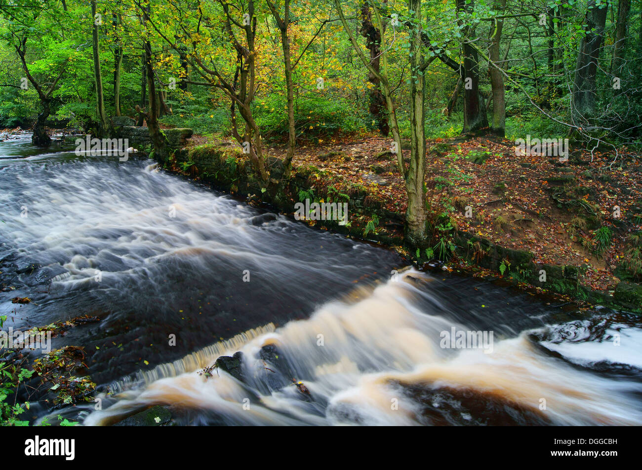 UK,South Yorkshire,Sheffield,Rivelin Valley,River Rivelin,Roscoe Weir ...