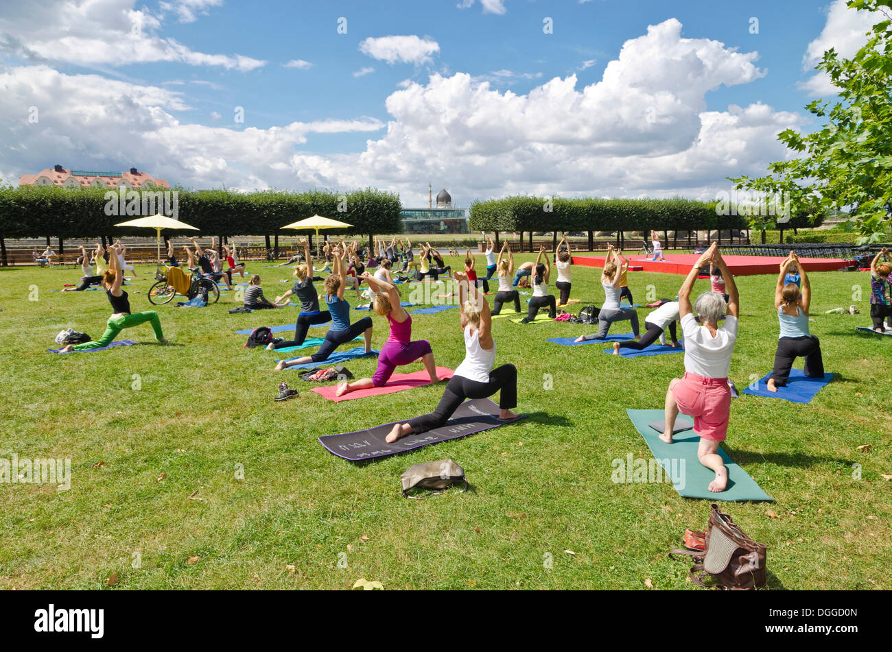 Open air yoga session on the meadows beside the river Elbe, Dresden ...