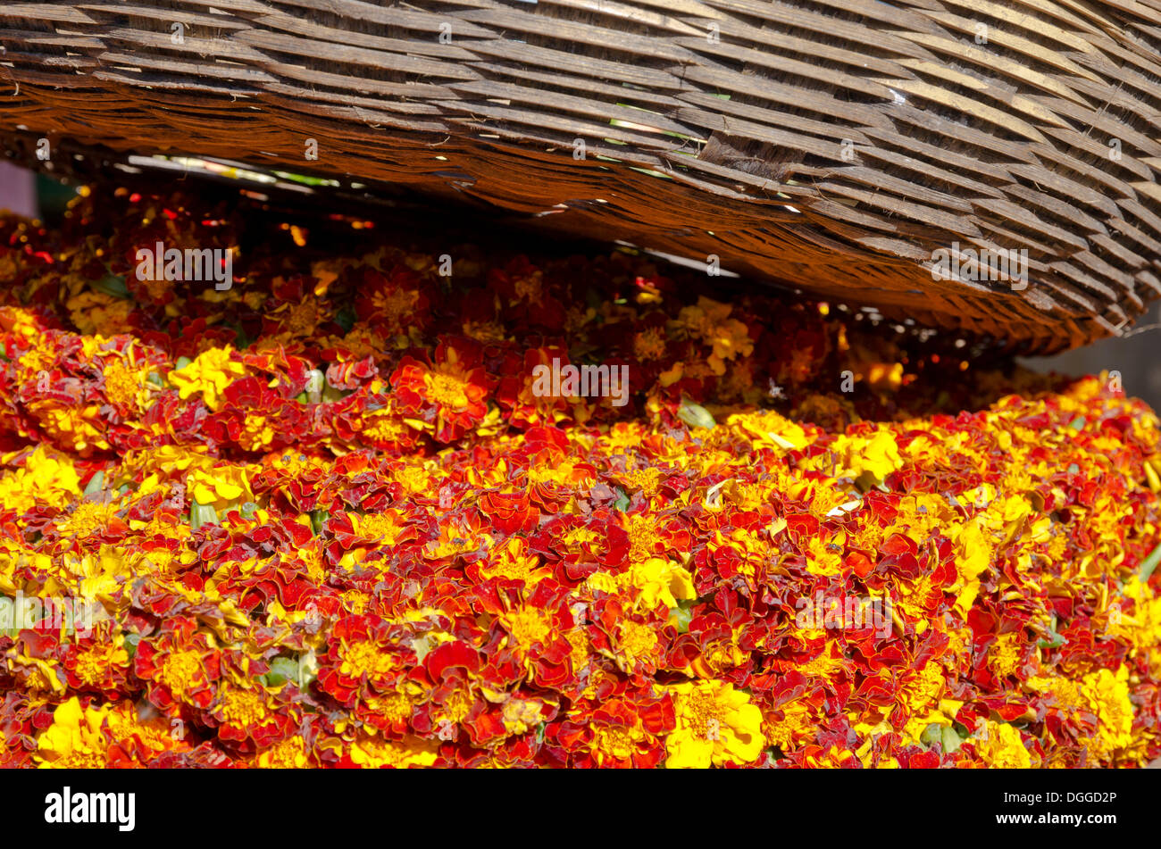Mysore flower market hi-res stock photography and images - Alamy
