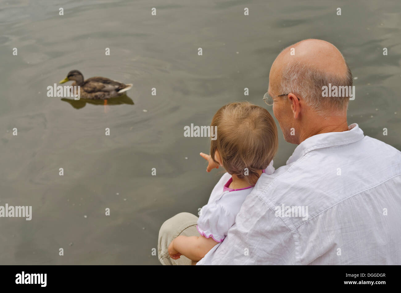 Little girl sitting on the lap of a man, watching a duck, Dresden ...