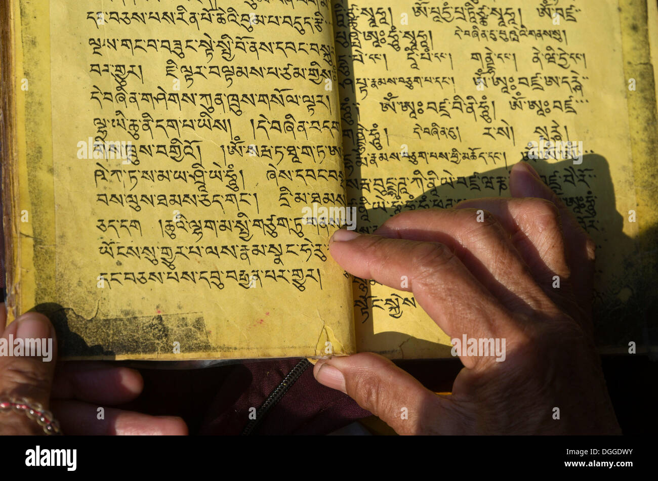 Tibetan Language