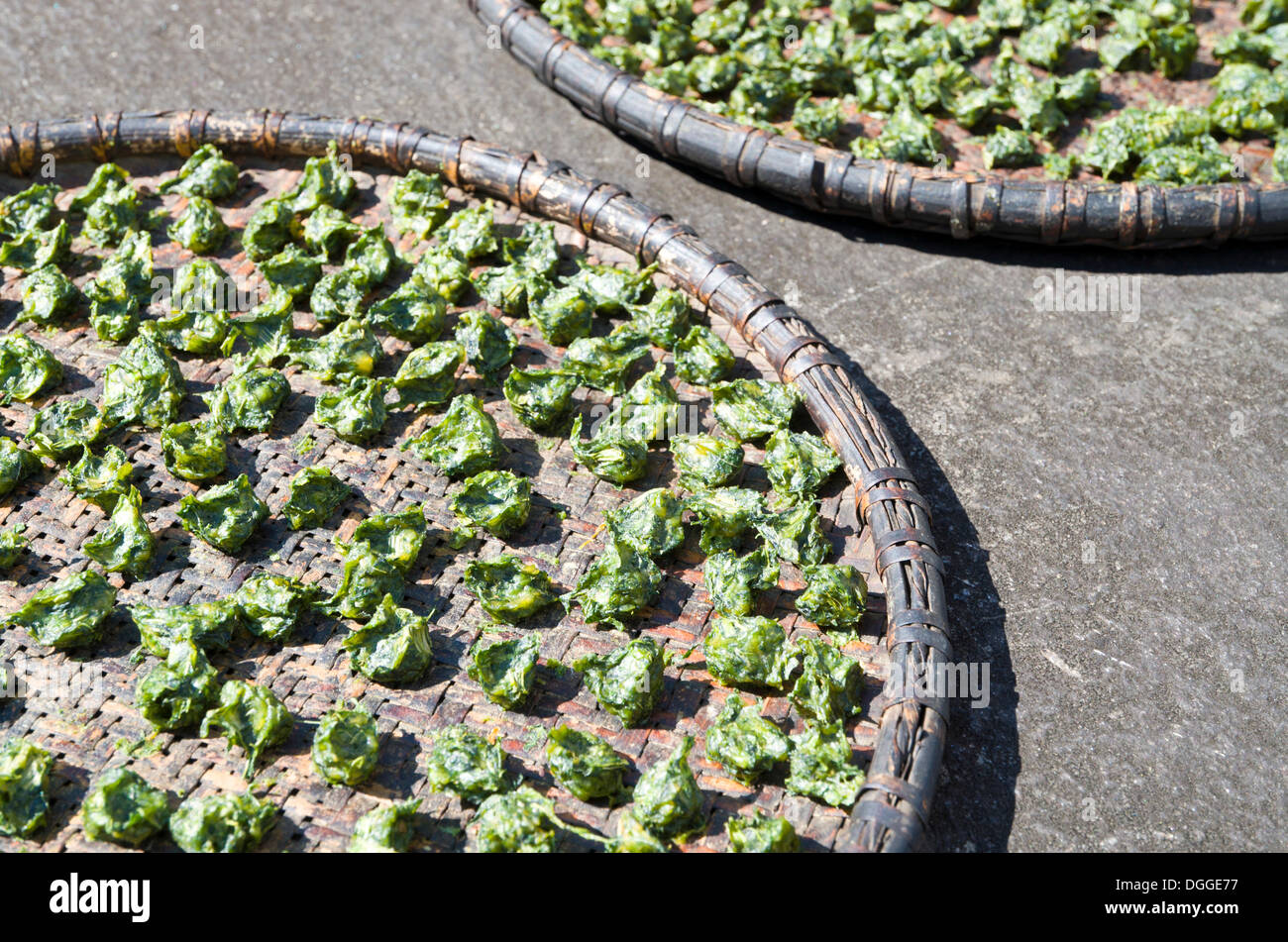 Spinach drying in the sun on a tablet, Khincha, Solukhumbu District ...