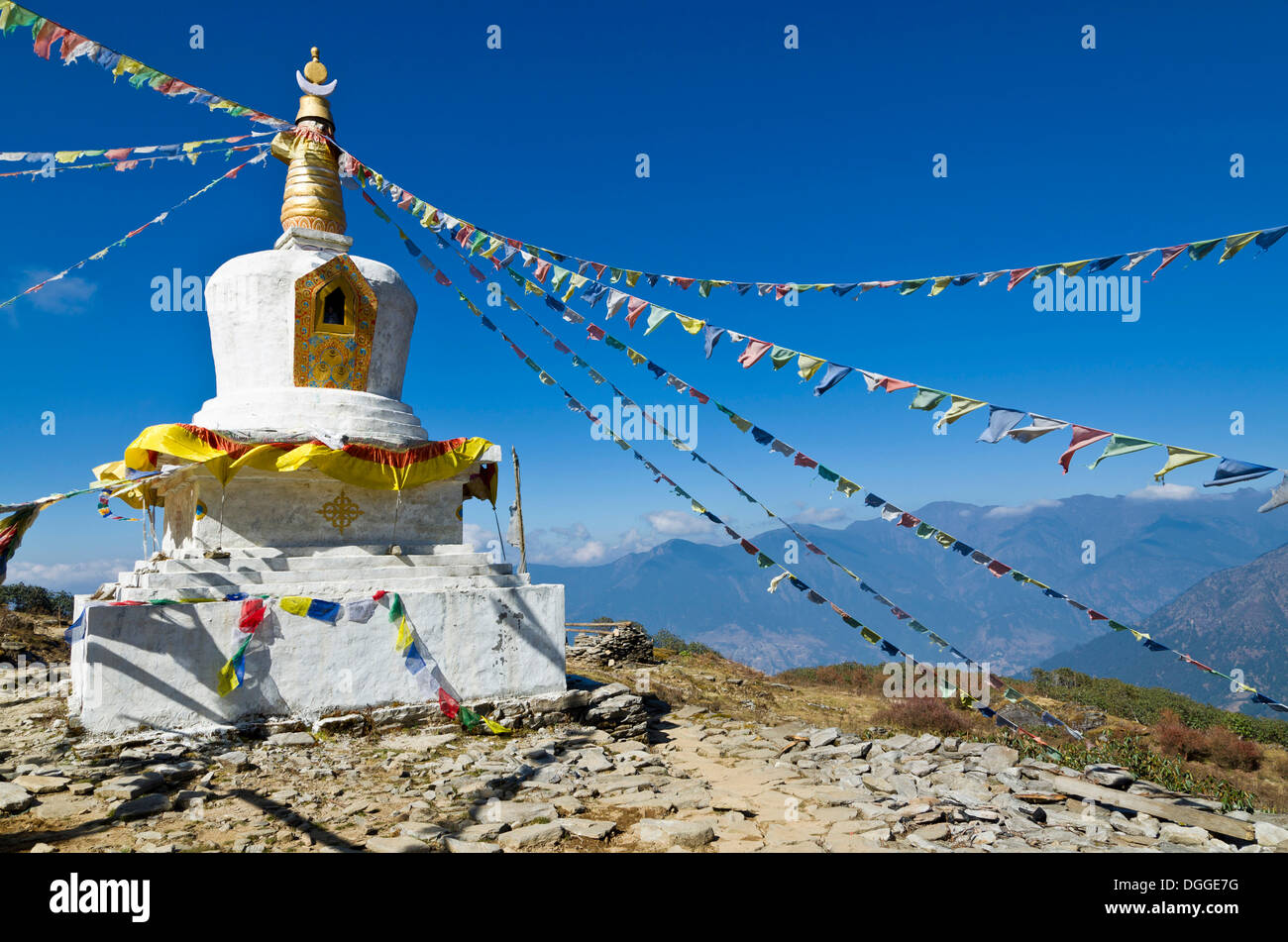 Goyam hi-res stock photography and images - Alamy