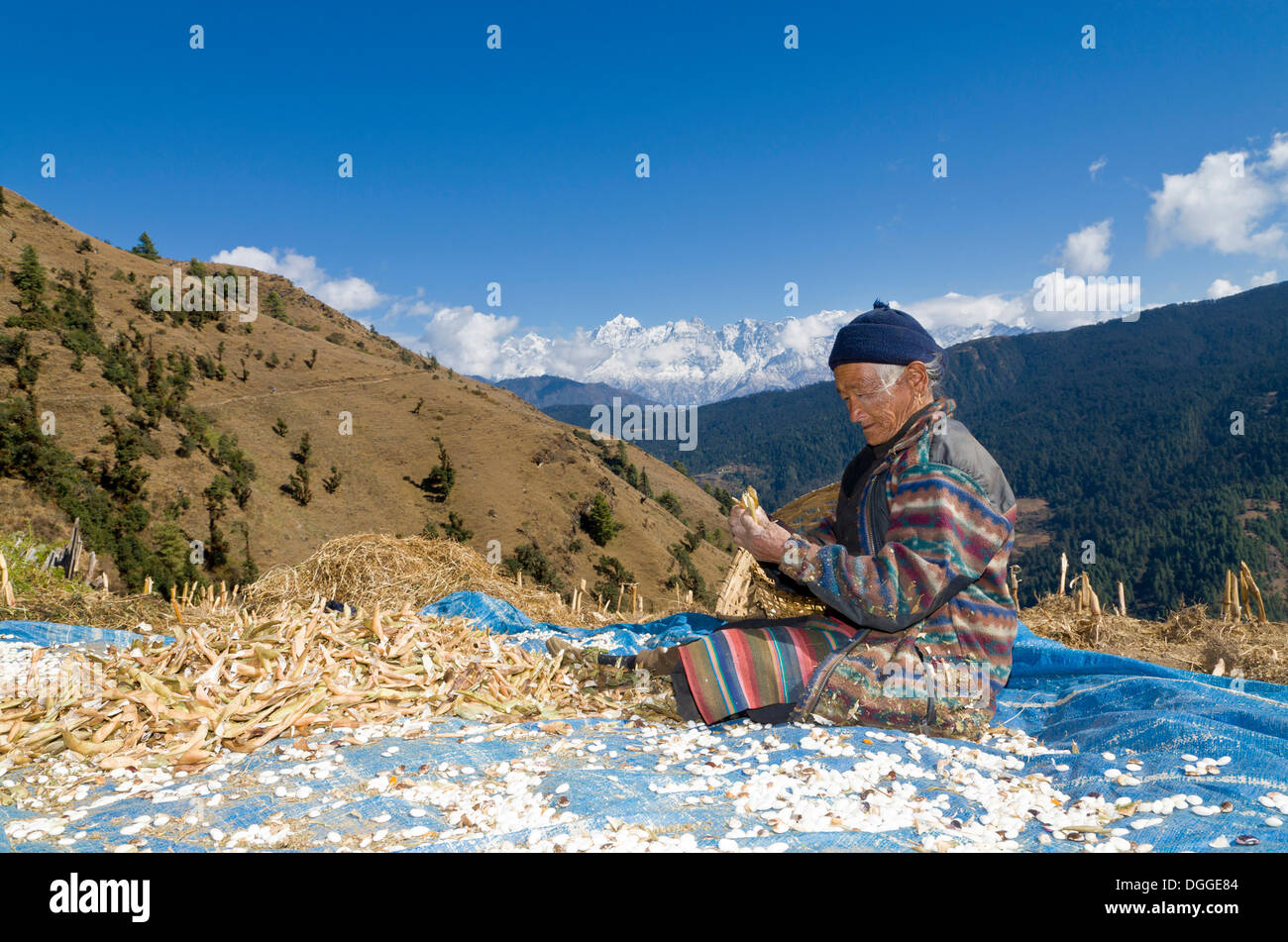 Sorting beans hi-res stock photography and images - Alamy