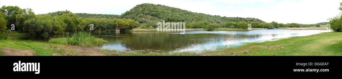 Panorama of the Free State Botanical Gardens in Bloemfontein, South ...