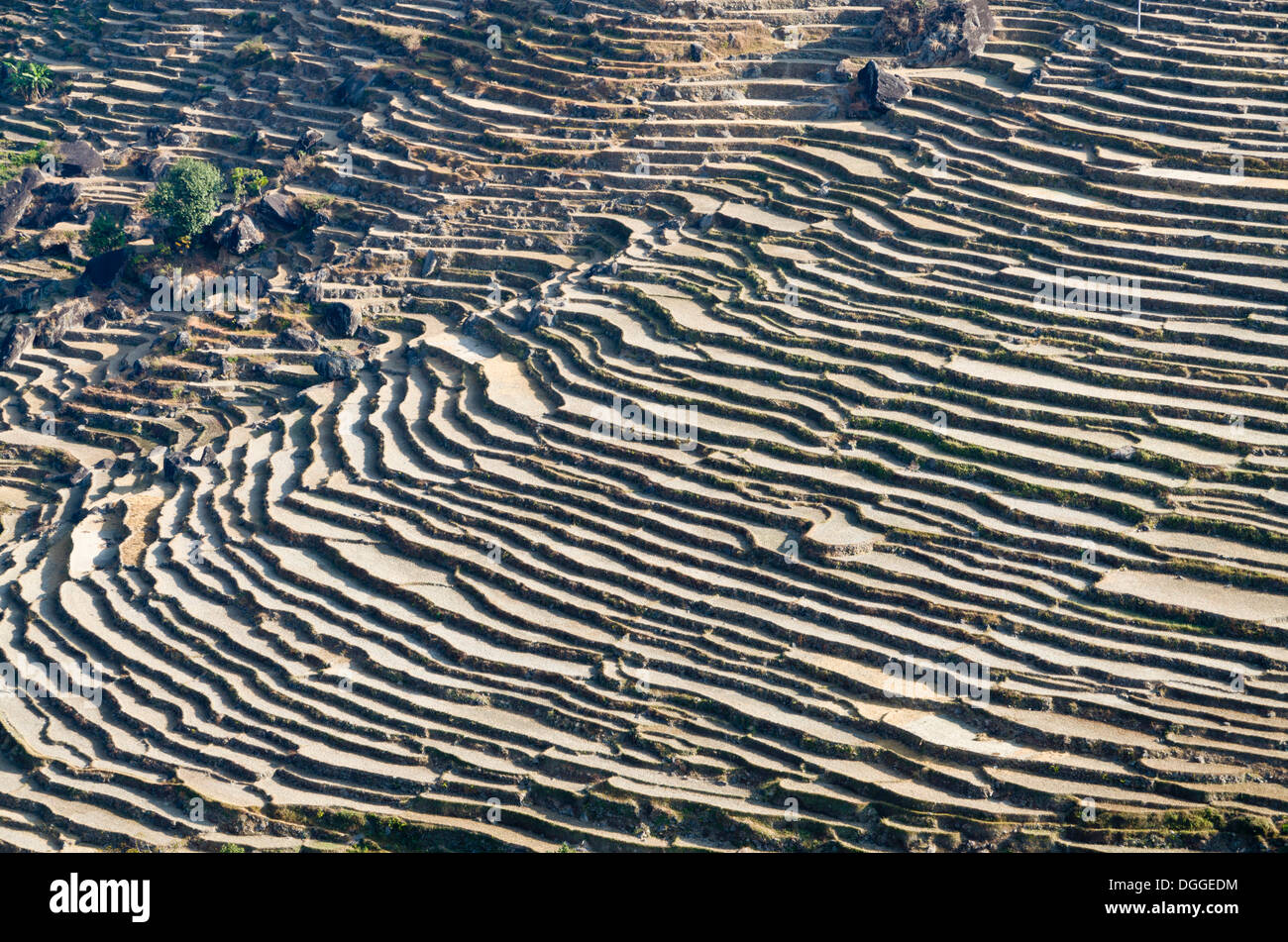 Lamjung district hi-res stock photography and images - Alamy