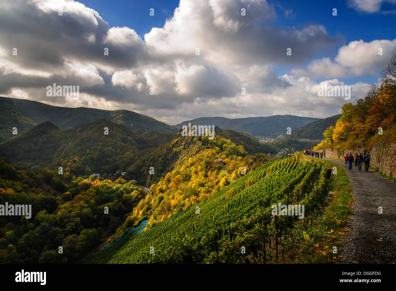 The red wine hiking trail hi-res stock photography and images - Alamy
