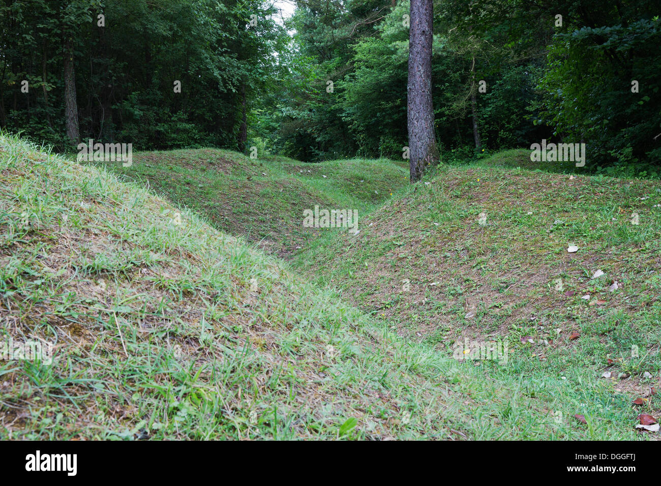 Battle of verdun trench crater hi-res stock photography and images - Alamy