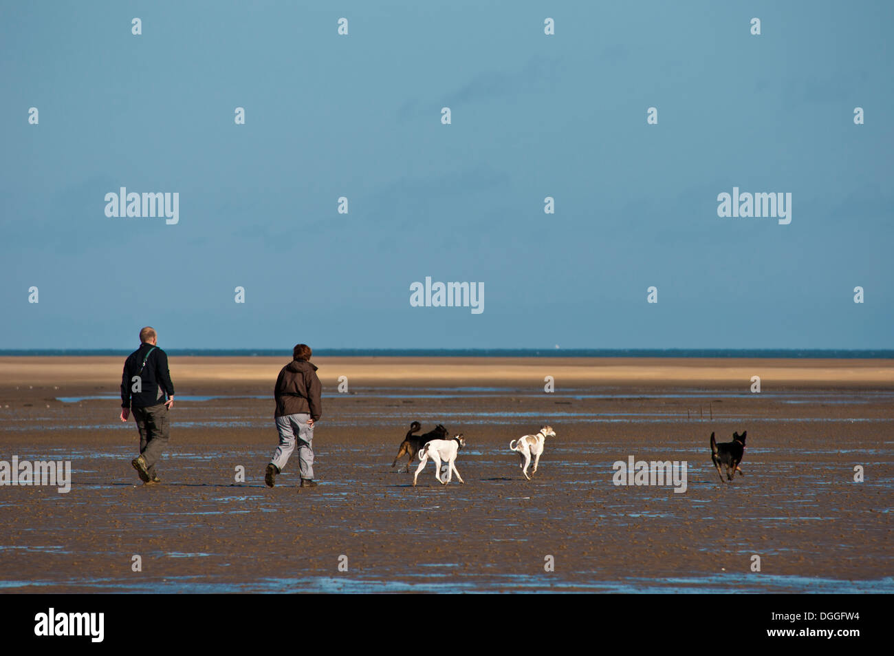 Stiffkey marsh hi-res stock photography and images - Alamy