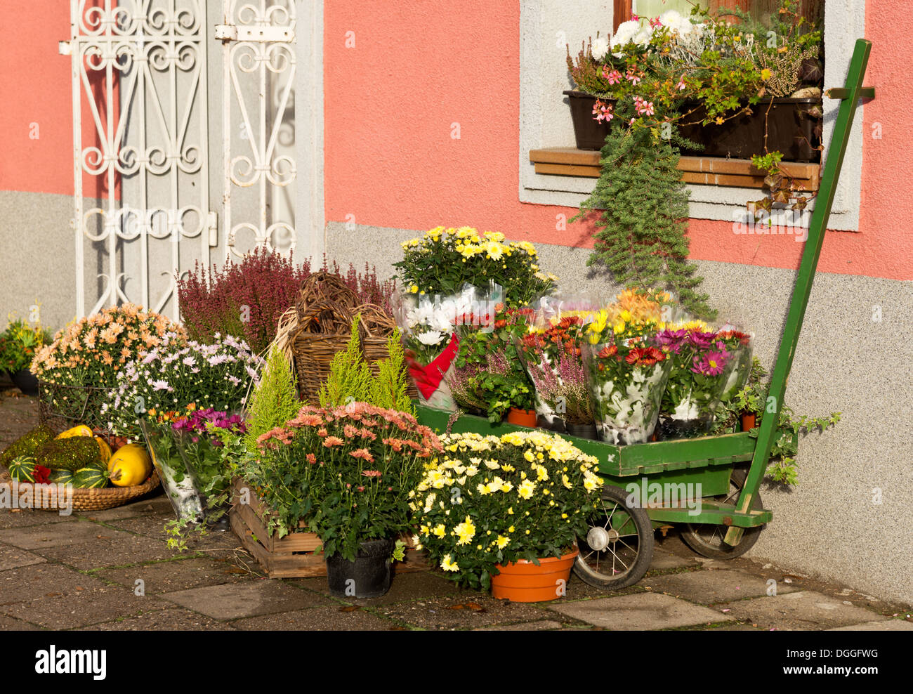 The old florist shop hi-res stock photography and images - Alamy
