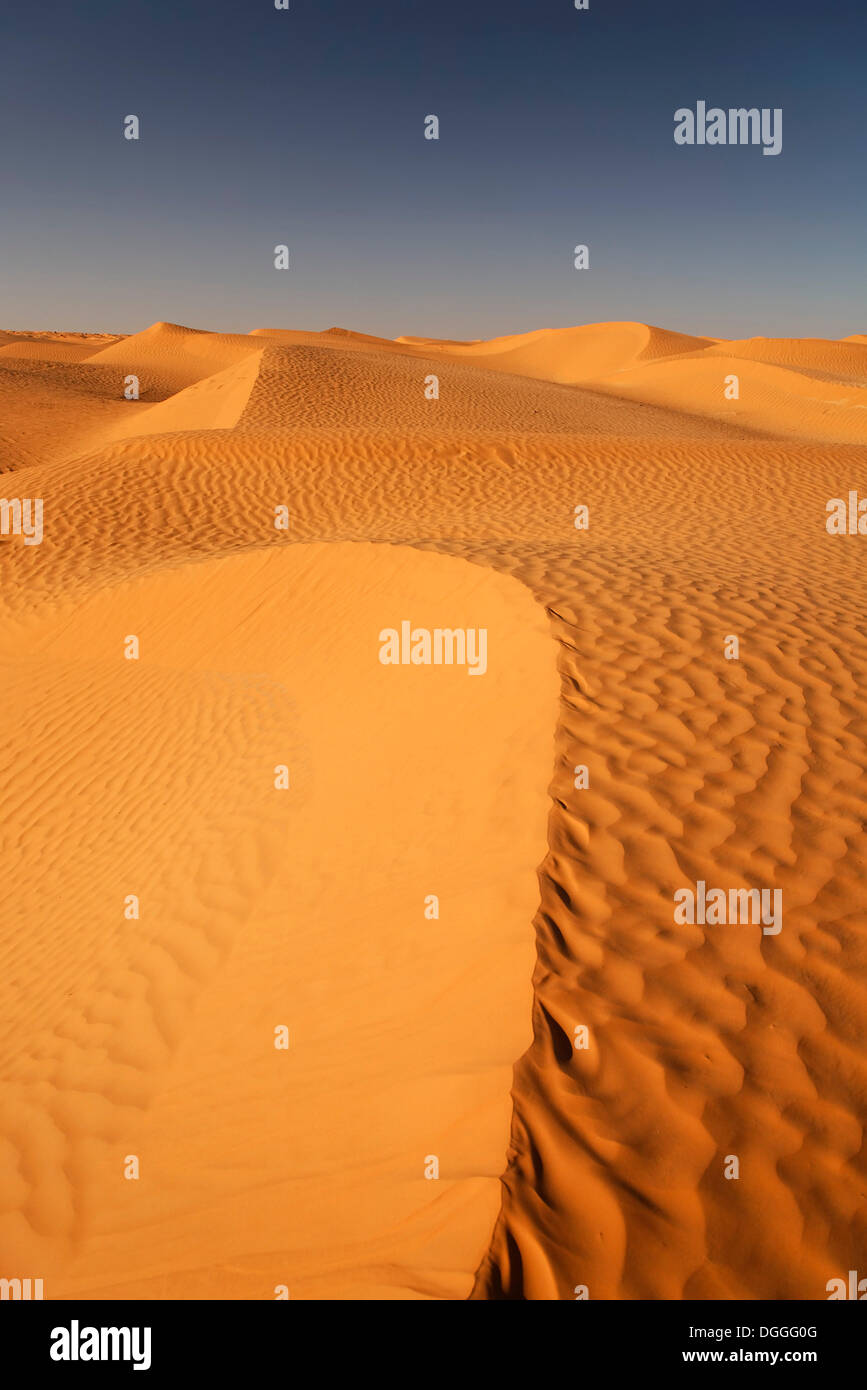 Desert landscape in the Sahara near Ksar Ghilane, Tunisia, Maghreb ...
