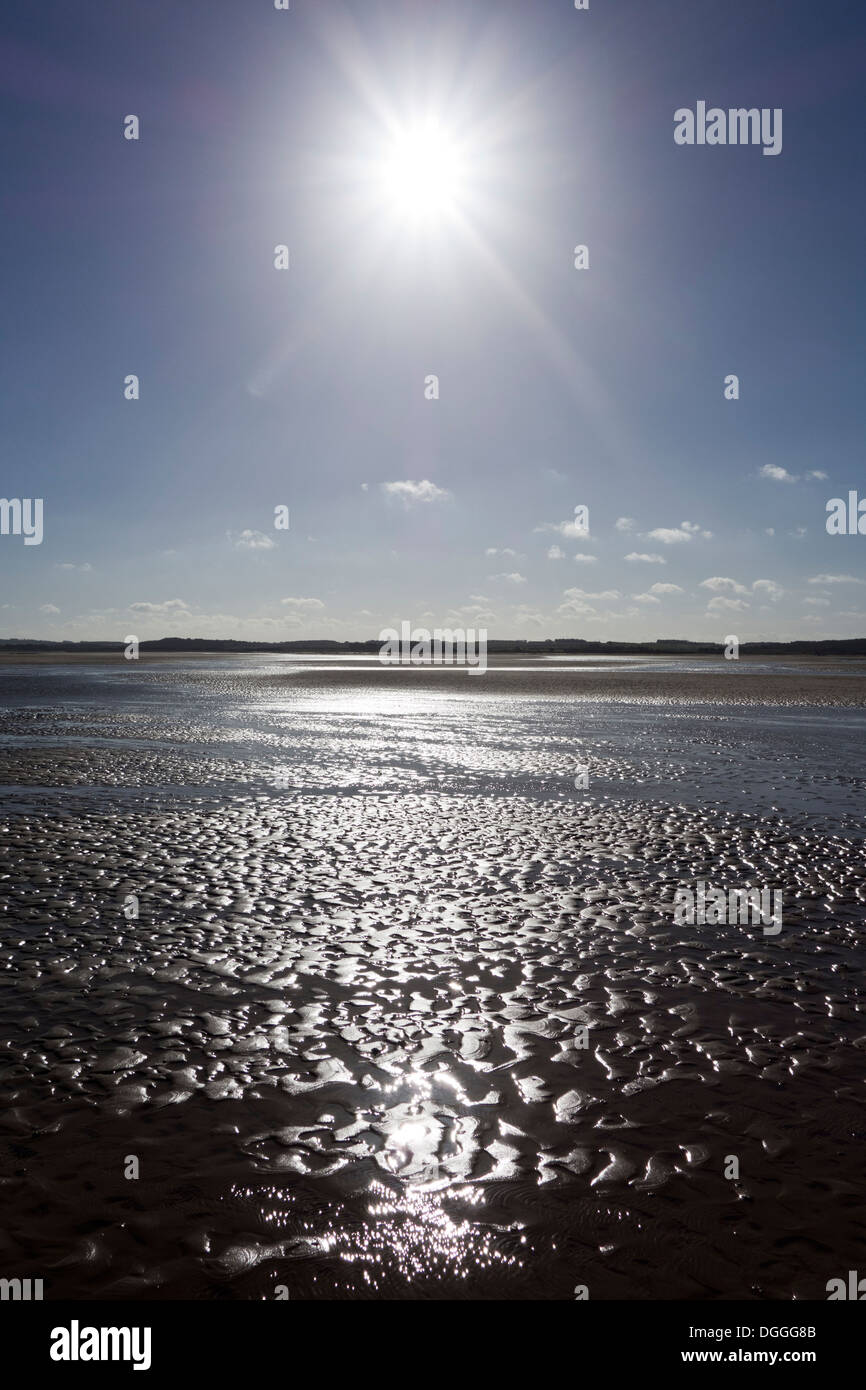 Sand and mud hi-res stock photography and images - Alamy