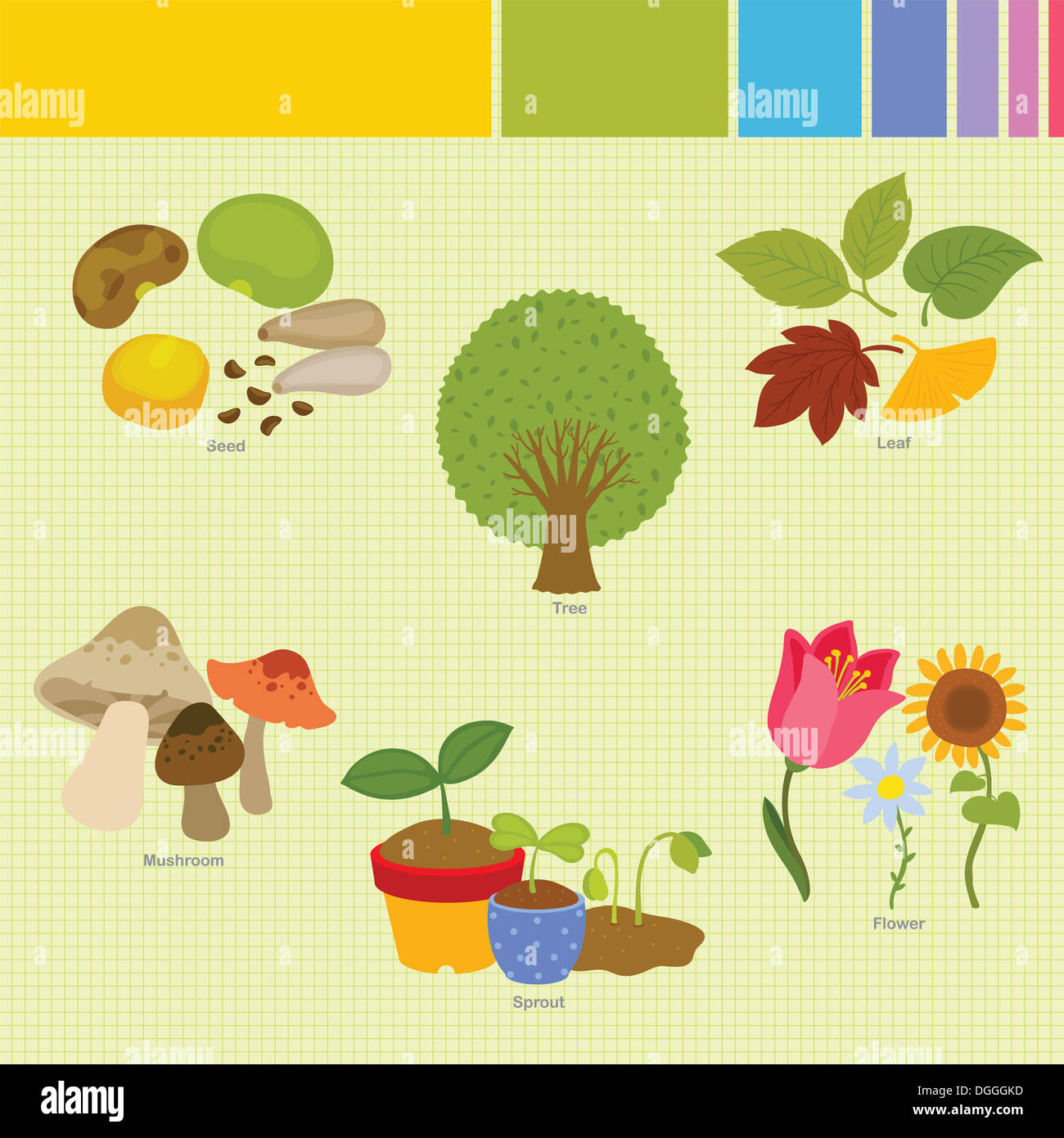 an illustration of a hand showing good Stock Photo - Alamy