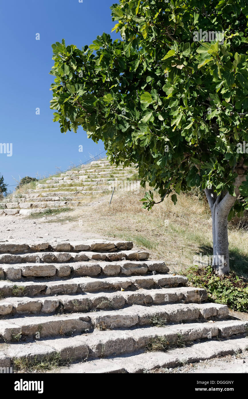 Archeology archeological stairs stair hi-res stock photography and ...