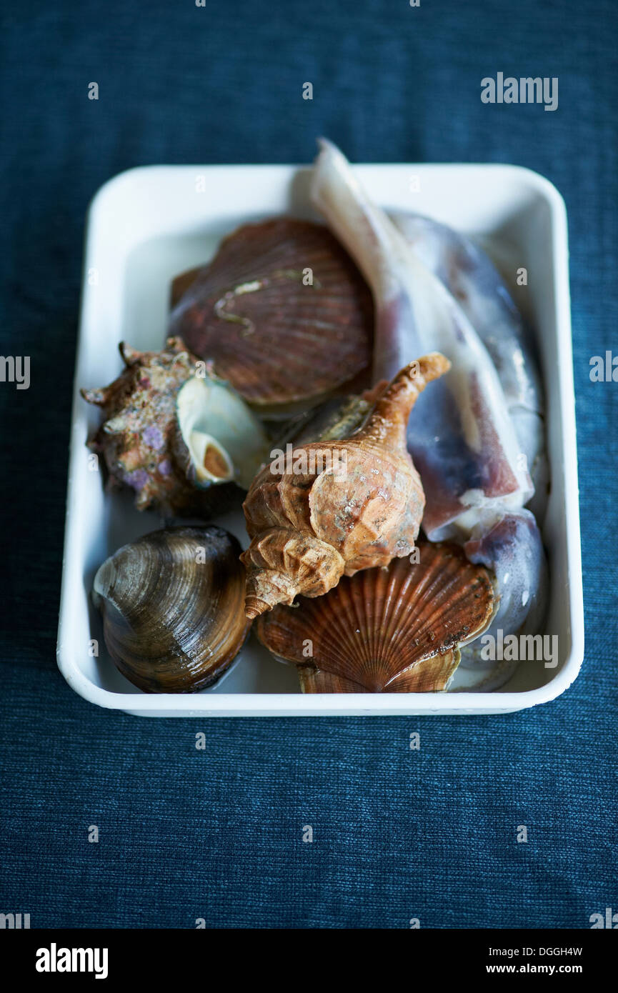 Sea shells for traditional Japanese dish Stock Photo - Alamy
