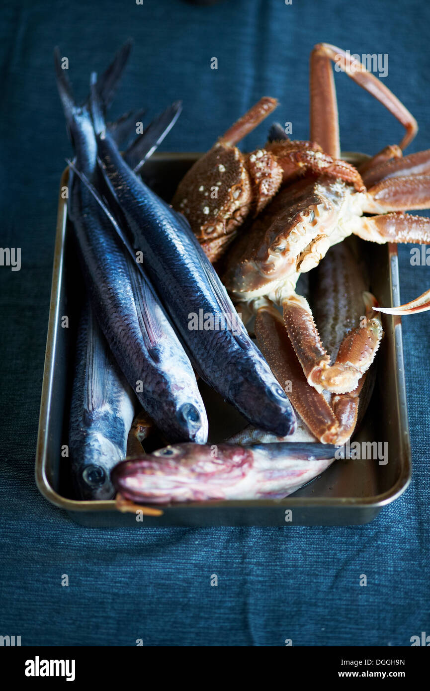 Japanese fish carcass hi-res stock photography and images - Alamy