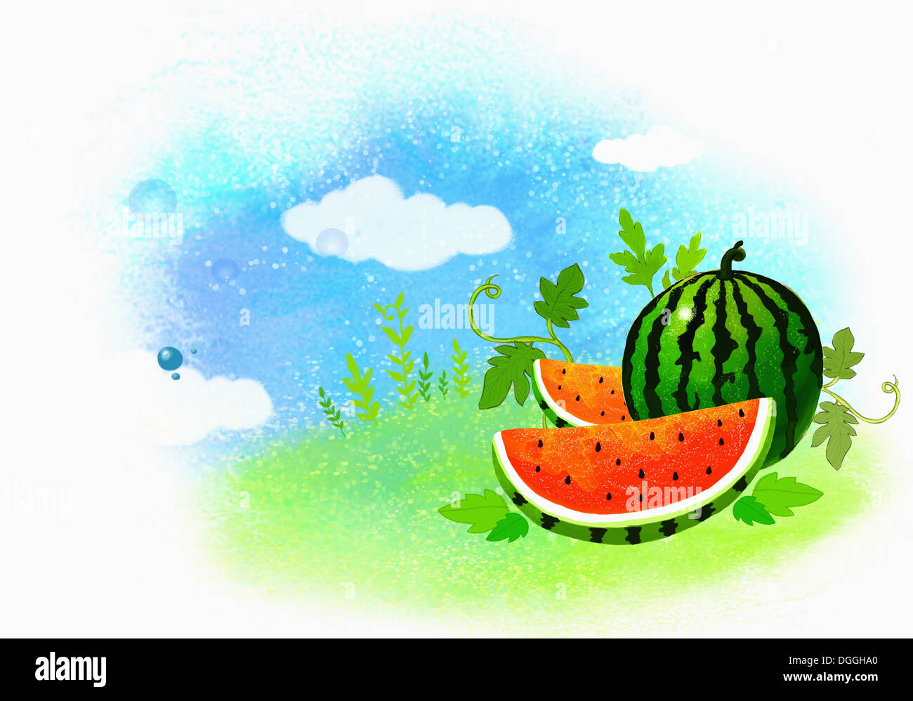 an illustration of watermelons in the nature Stock Photo - Alamy