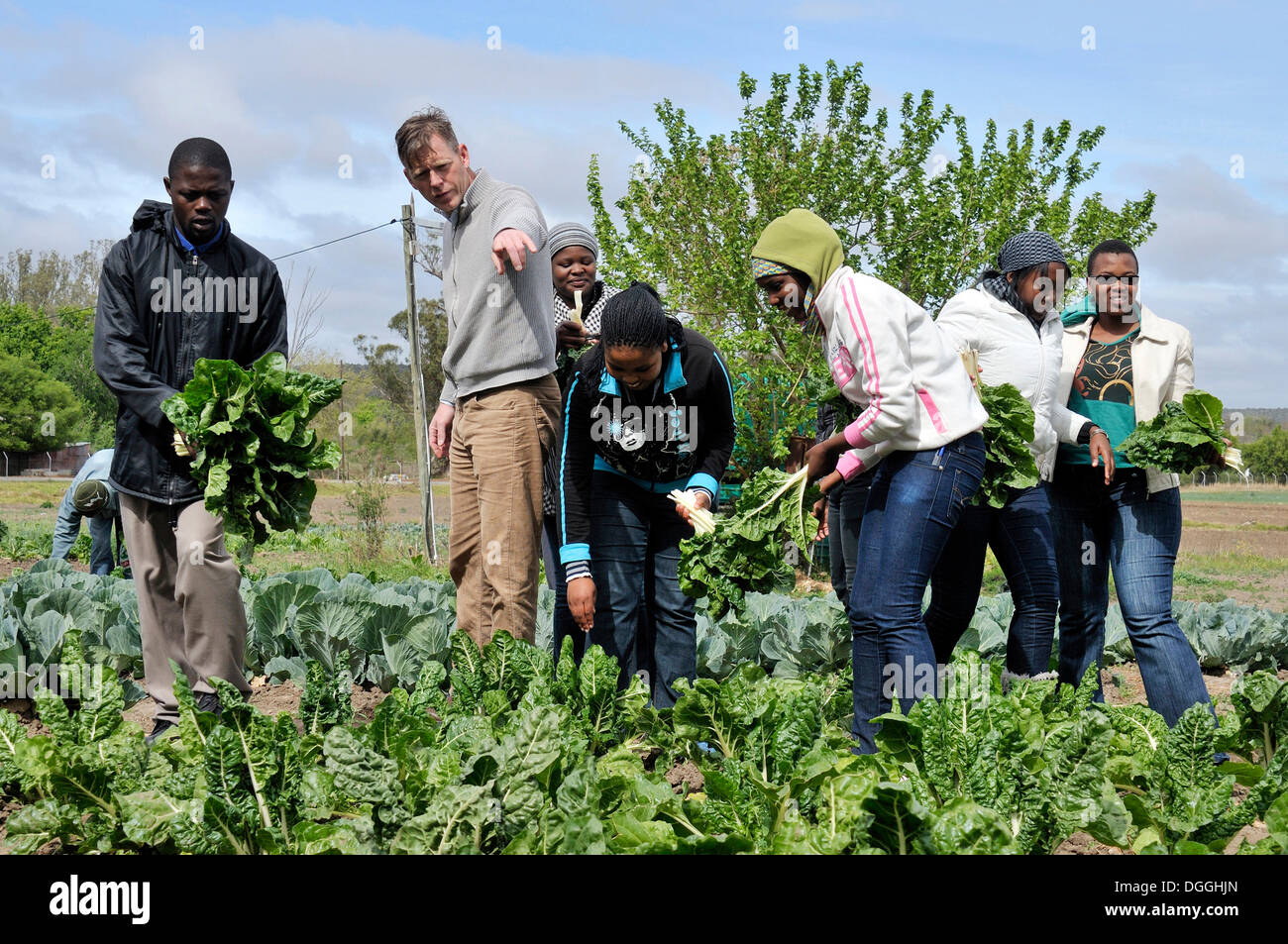 South african school hi-res stock photography and images - Alamy