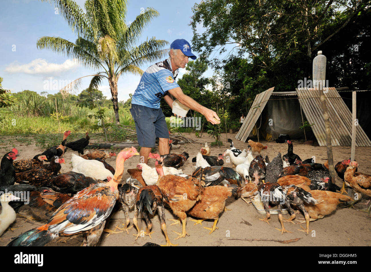 Farmer Feeding Chickens