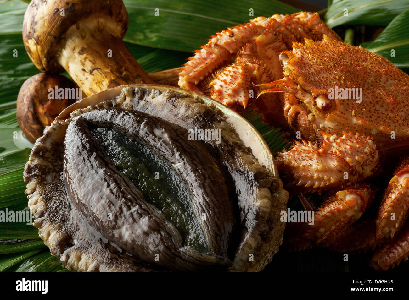 Still life with selection of shellfish and mushrooms Stock Photo - Alamy