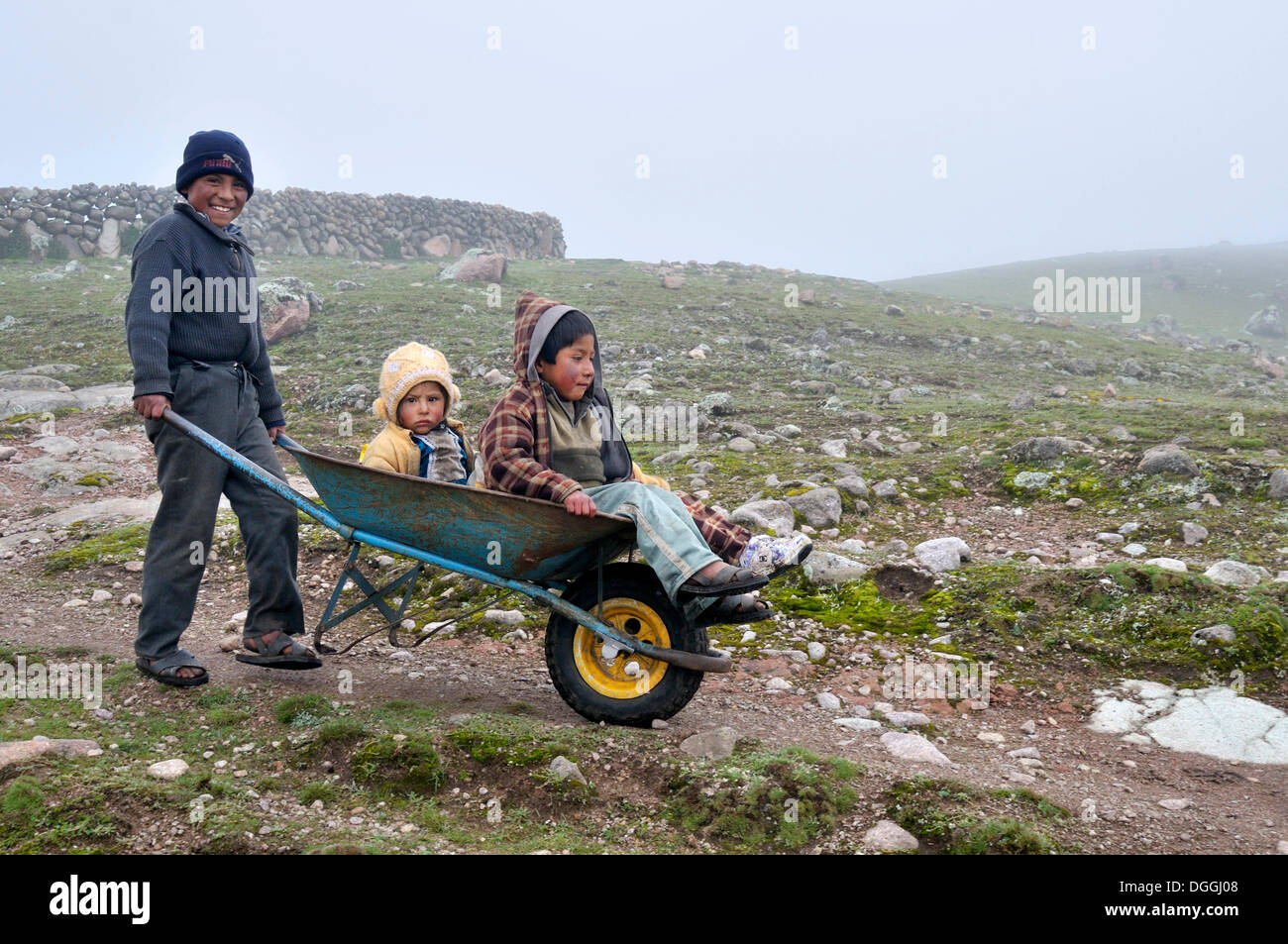 Jewish Wheelbarrow Walk