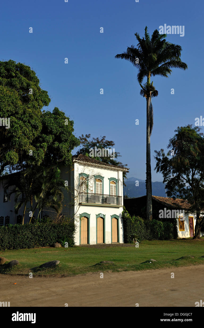 Historical building and a Royal Palm (Roystonea regia) in Paraty or ...