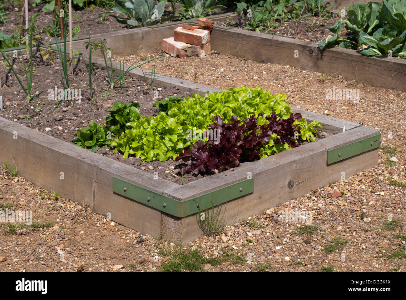 Raised bed plots in a kitchen garden Stock Photo - Alamy