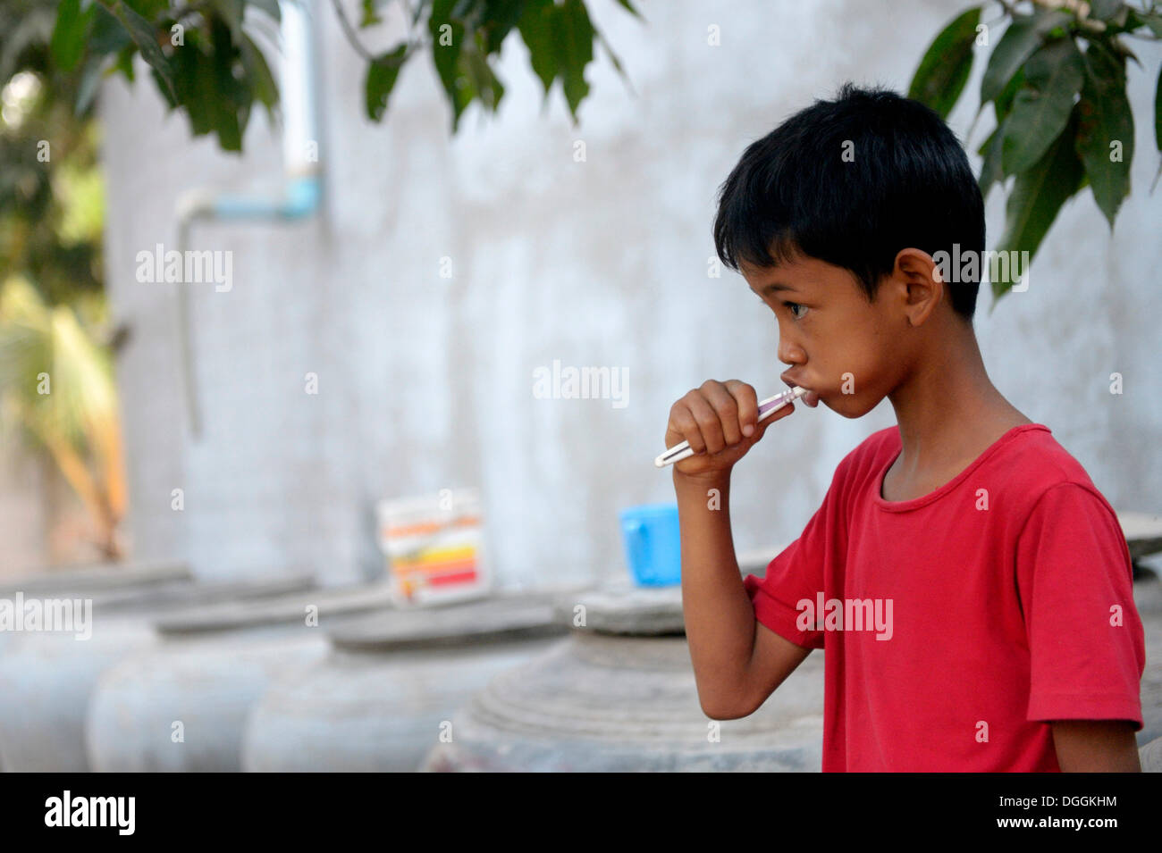 Young boy brushing his teeth outside a house, Lompong Commune, Bathi ...