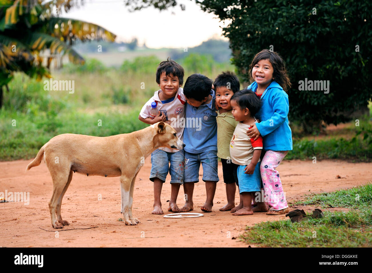 Group of happy children with a dog, in a community of Guarani Indians ...