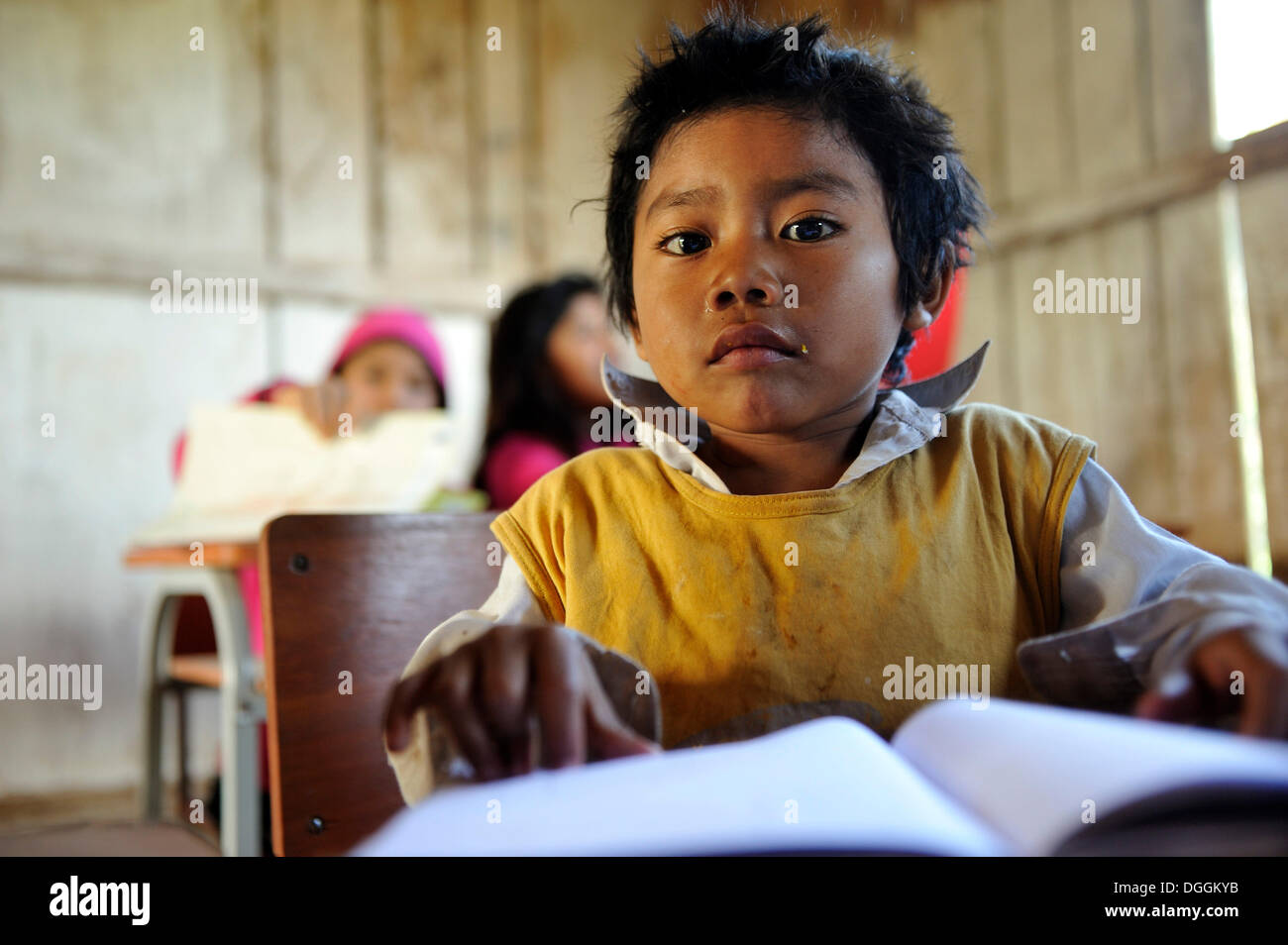 Boy with a book in a classroom, in the community of Mbya-Guarani ...