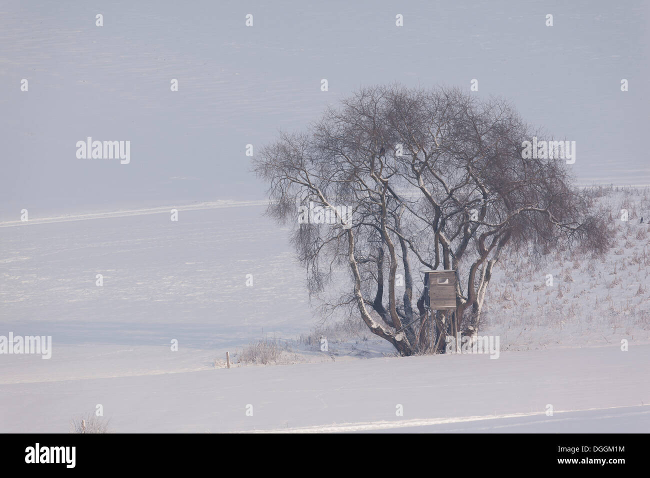 Field hesse fields scenery hi-res stock photography and images - Alamy