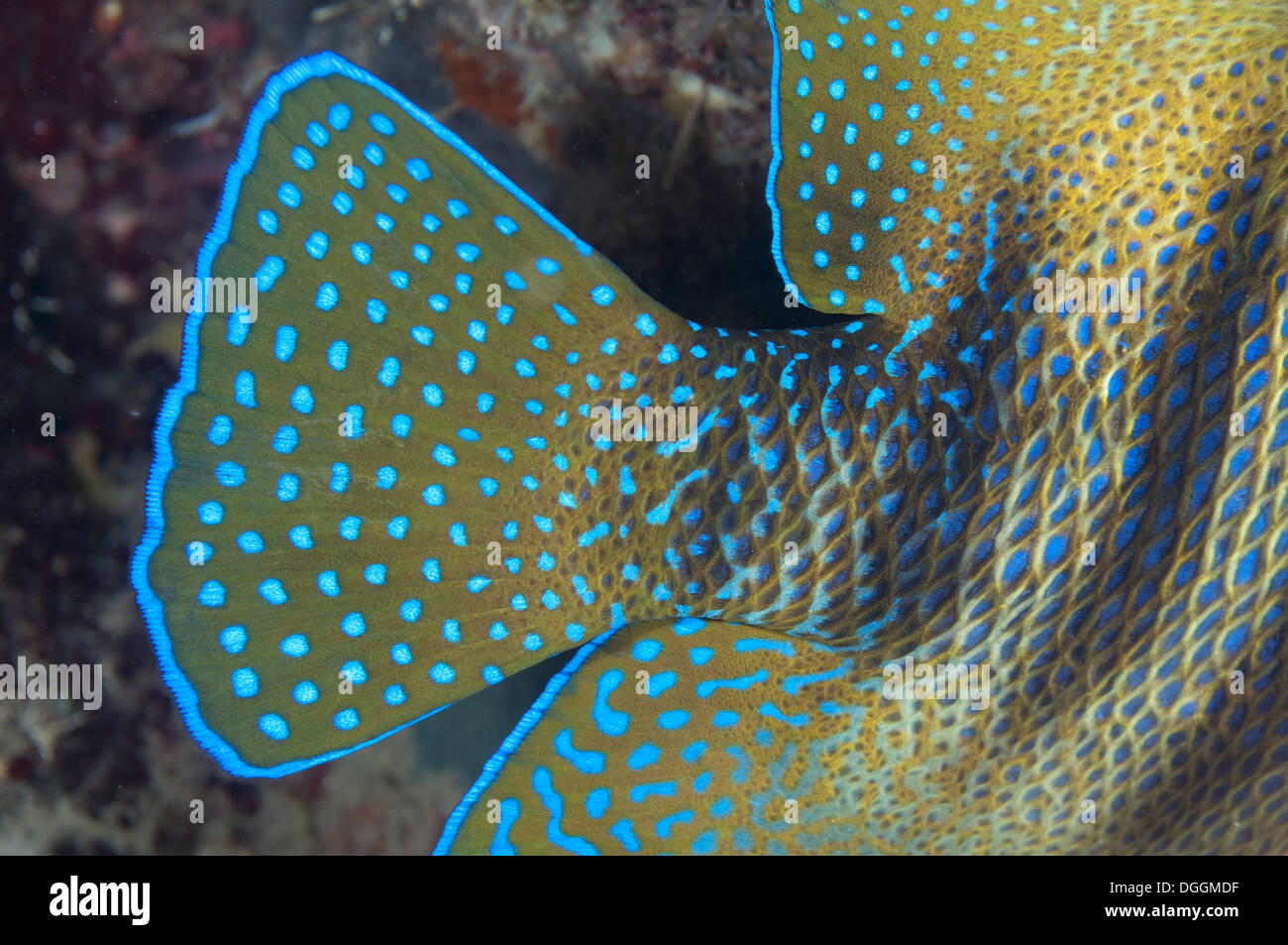 Six details hi-res stock photography and images - Alamy