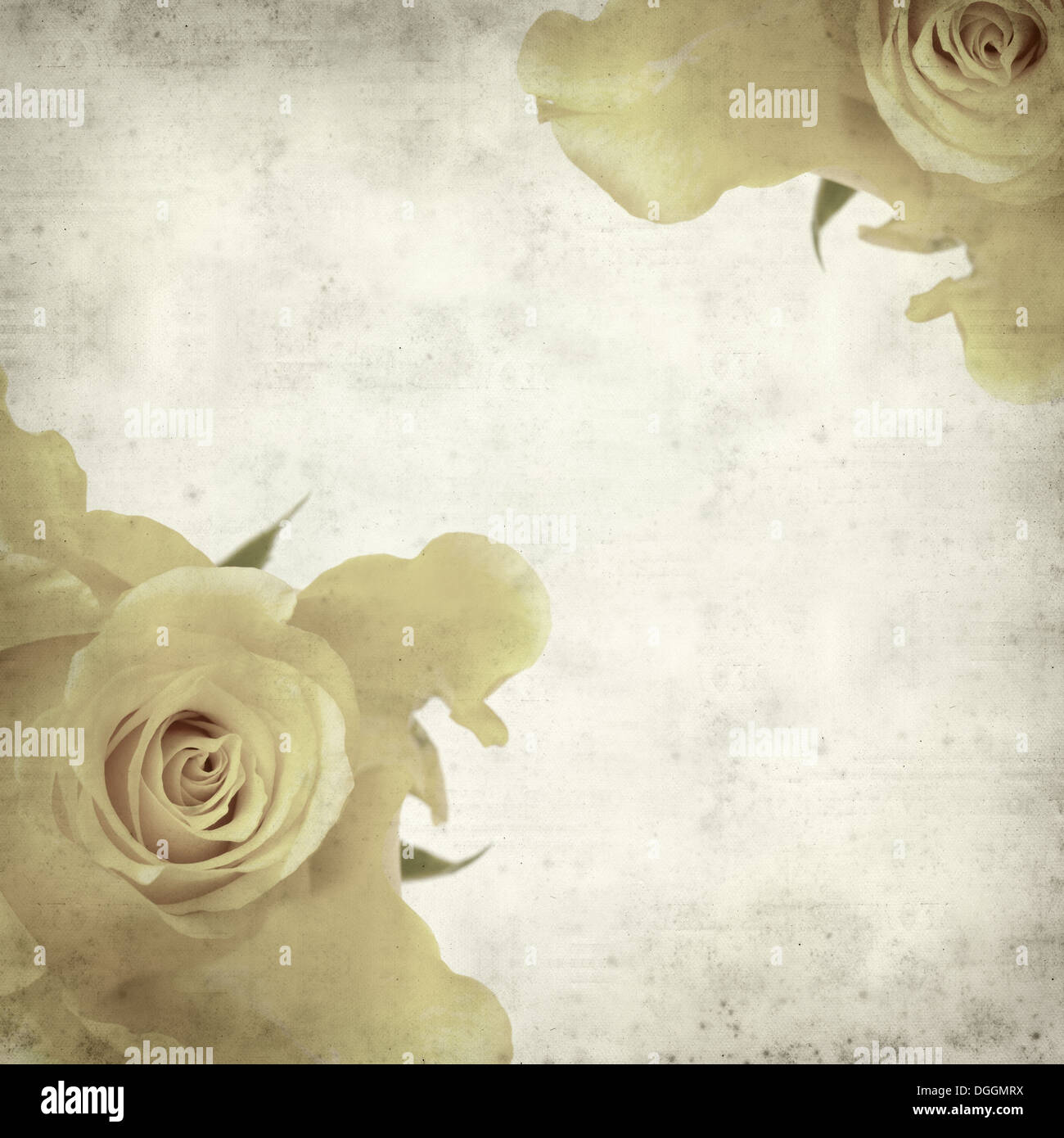 textured old paper background with yellow rose Stock Photo - Alamy