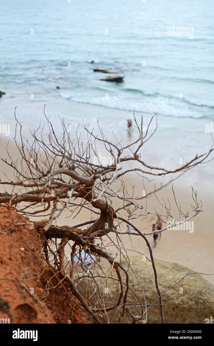 Calas de roche cadiz hi-res stock photography and images - Alamy