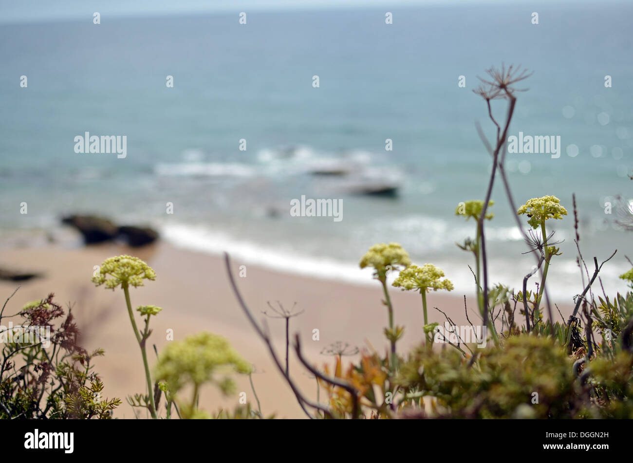 Calas de roche cadiz hi-res stock photography and images - Alamy