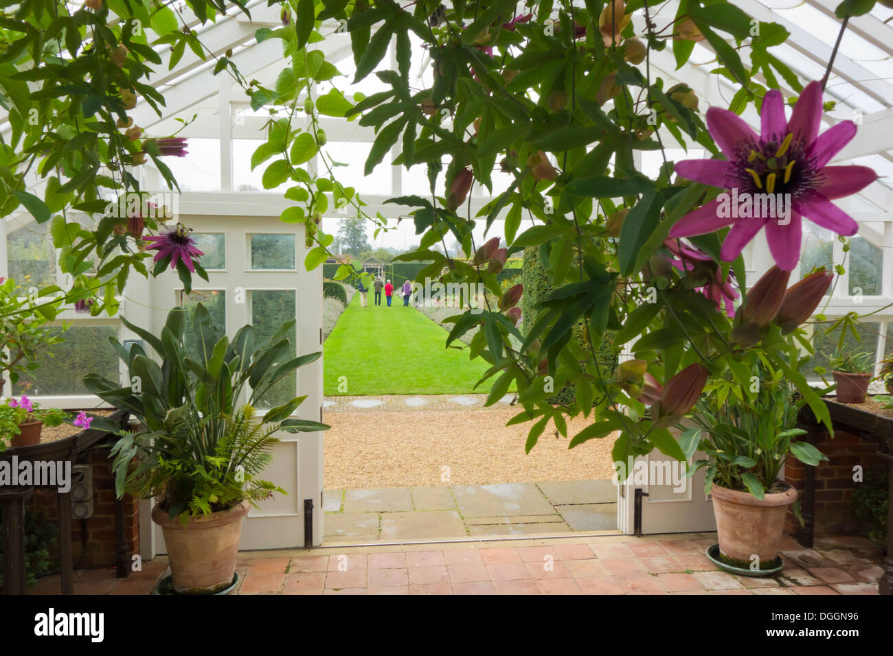Clematis house hi-res stock photography and images - Alamy