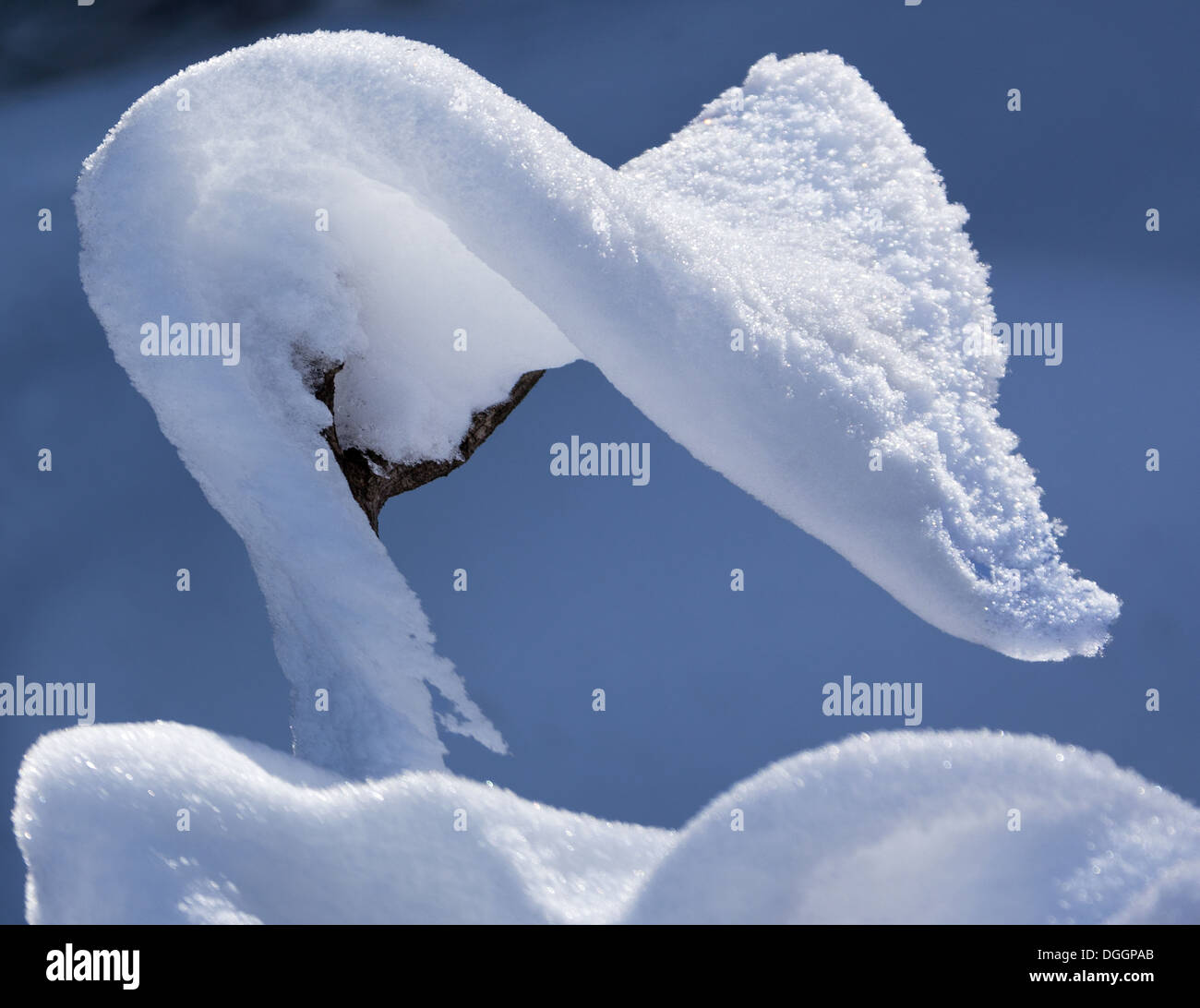 Wind snake hi-res stock photography and images - Alamy
