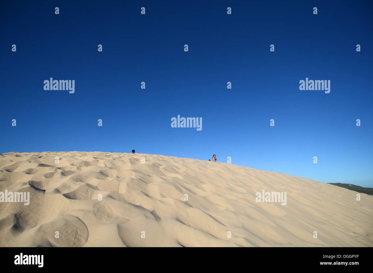 Bolonia dune beach hi-res stock photography and images - Alamy