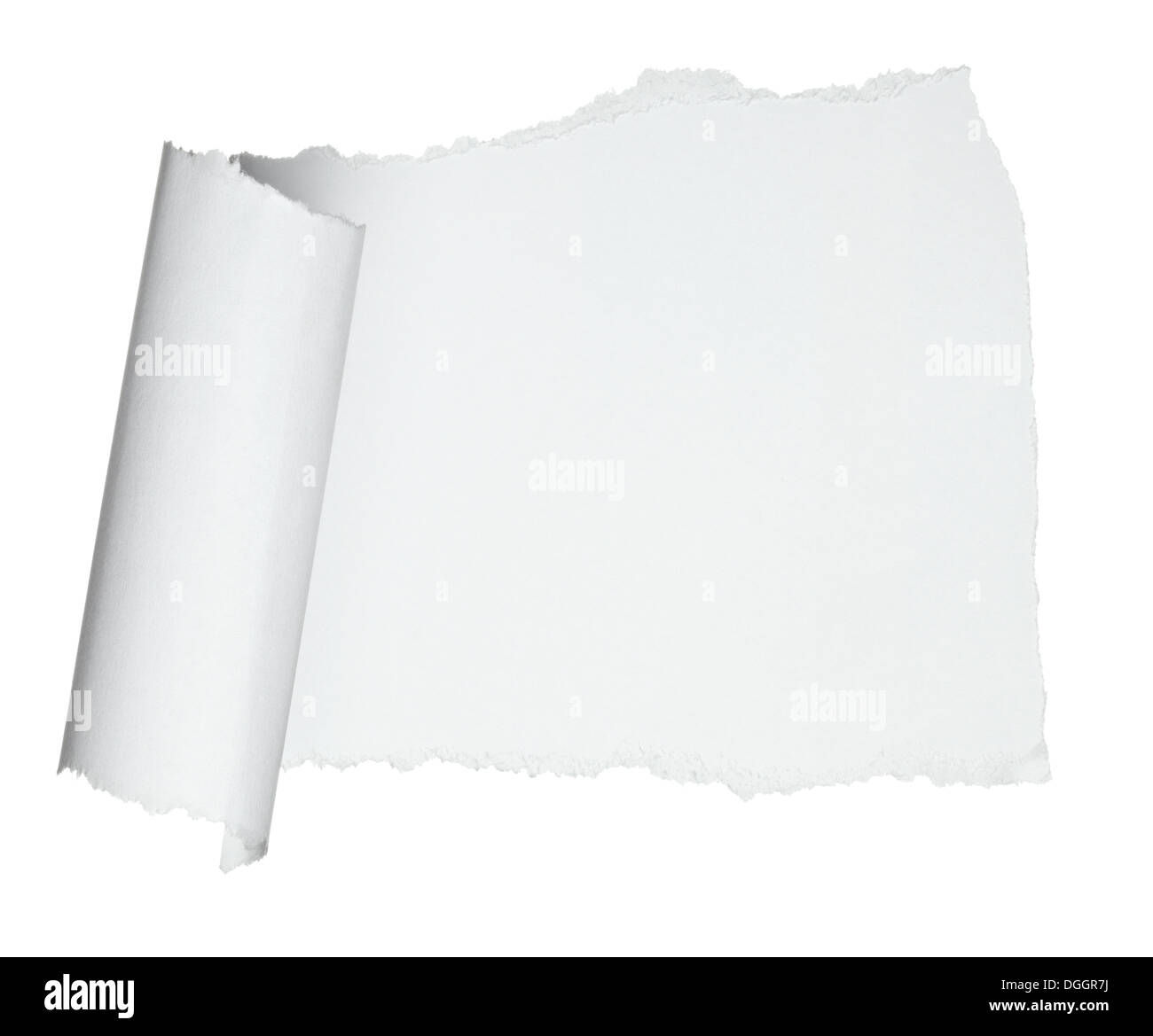 Old paper rolled banner hi-res stock photography and images - Alamy
