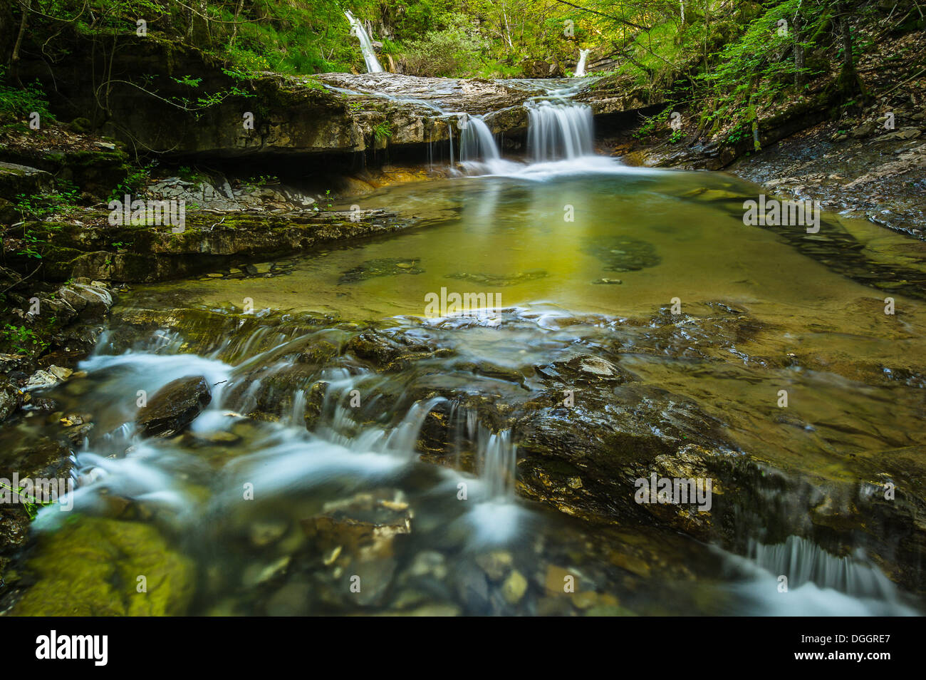 View of river habitat in forest with waterfalls cascades and pools ...