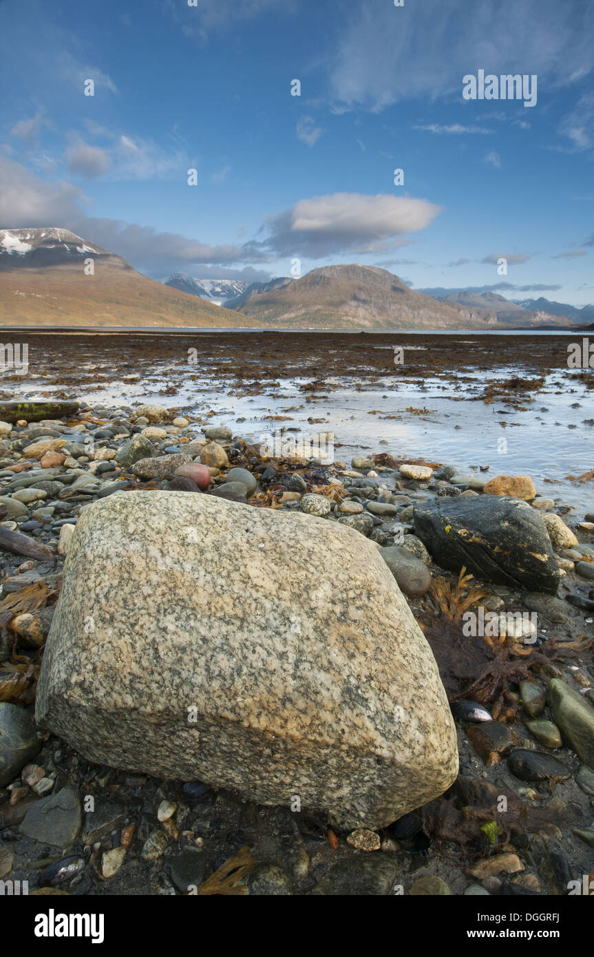 Rocks on shore of fjord during low tide, Skibotn, Lyngen Fjord, Troms ...