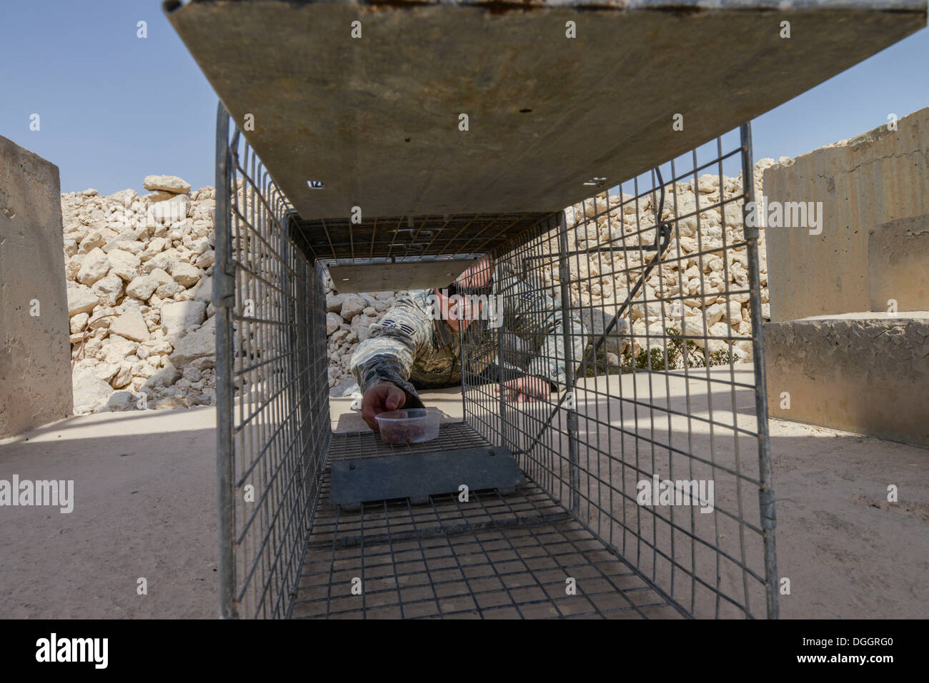 Senior Airman Jordan Hocker places bait inside a live trap at the 379th ...