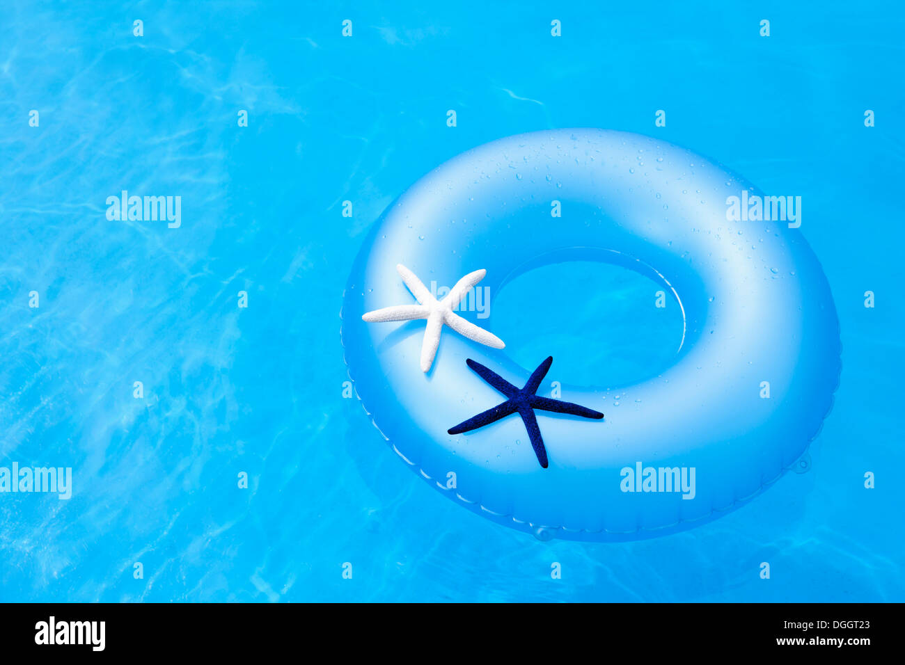 two sea stars and a swimming tube in a pool Stock Photo - Alamy