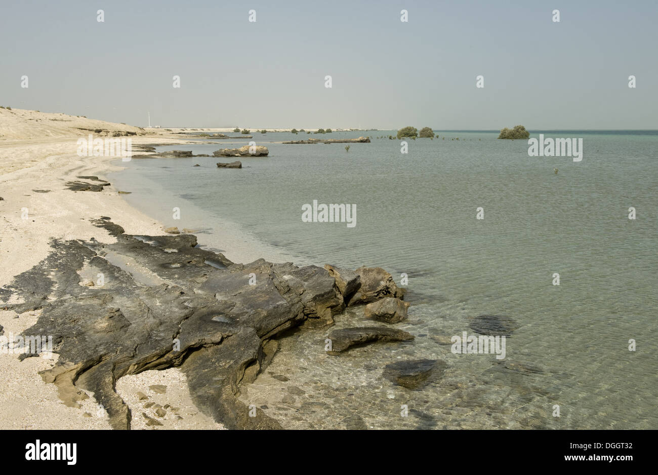 Remote beach with rocks sand and sea at high water with isolated mature ...