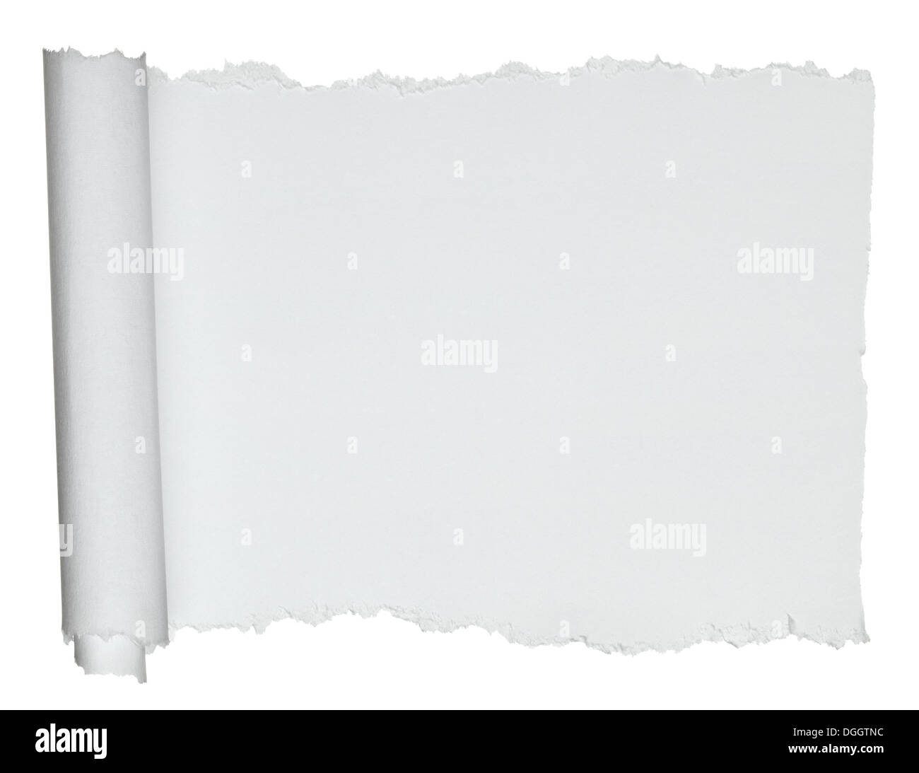 Old paper rolled banner hi-res stock photography and images - Alamy