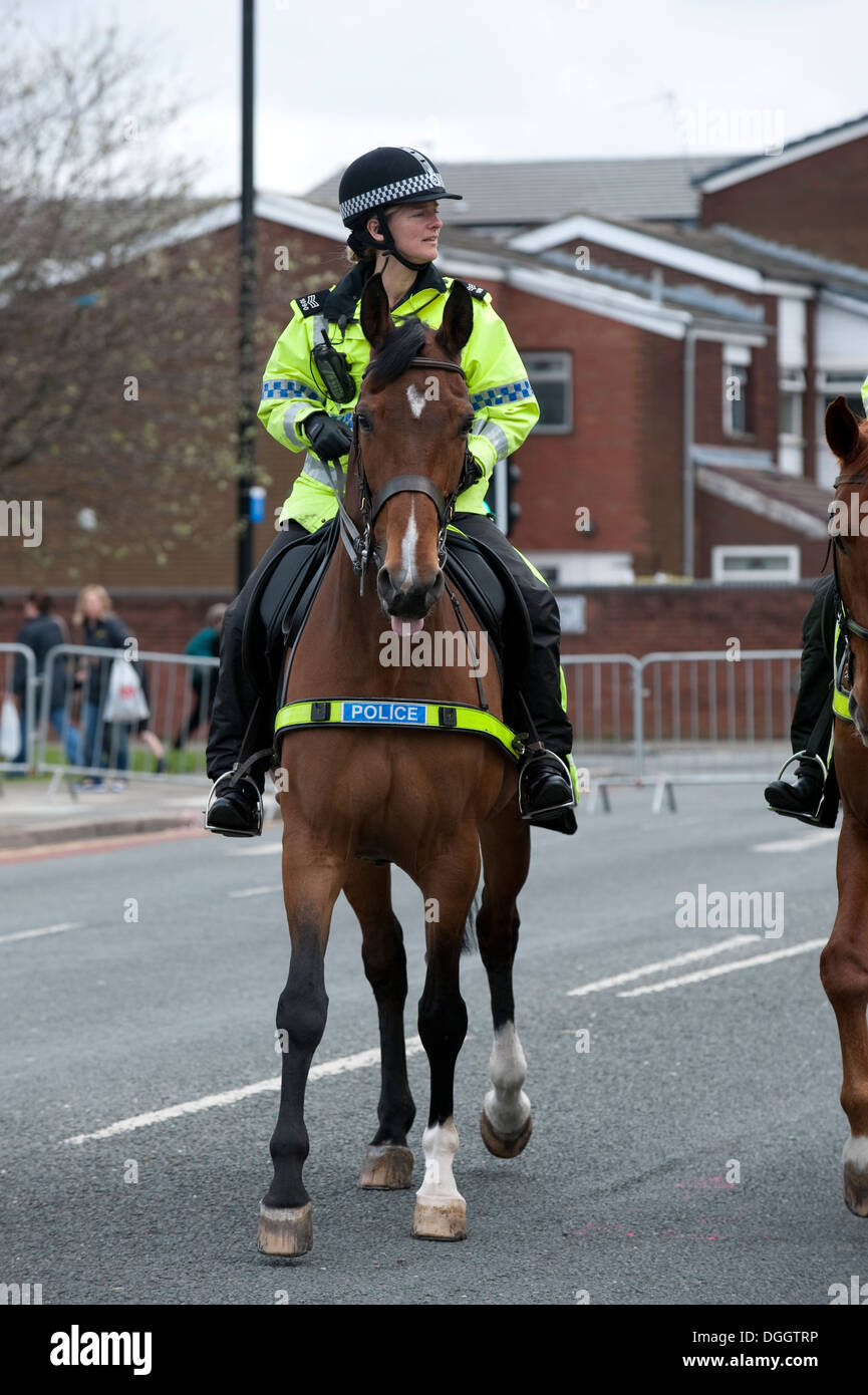 Police Riding Horse