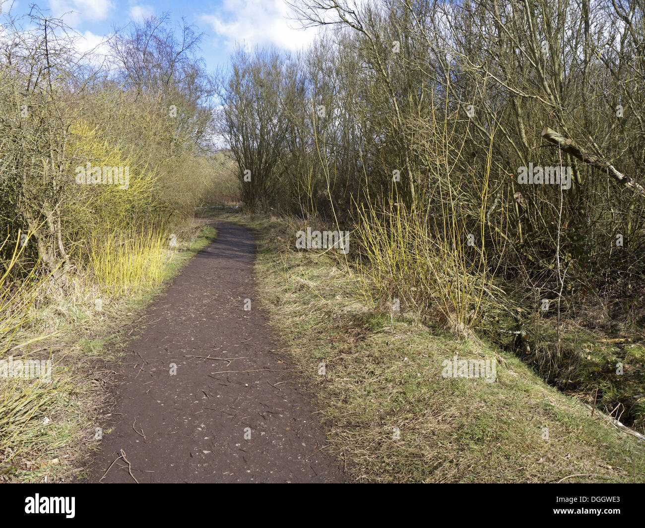 Path through deciduous woodland habitat, Sandwell Valley RSPB Reserve ...