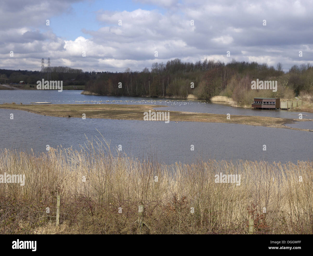 View of freshwater lake habitat with birdwatching hide Forge Mill Lake ...