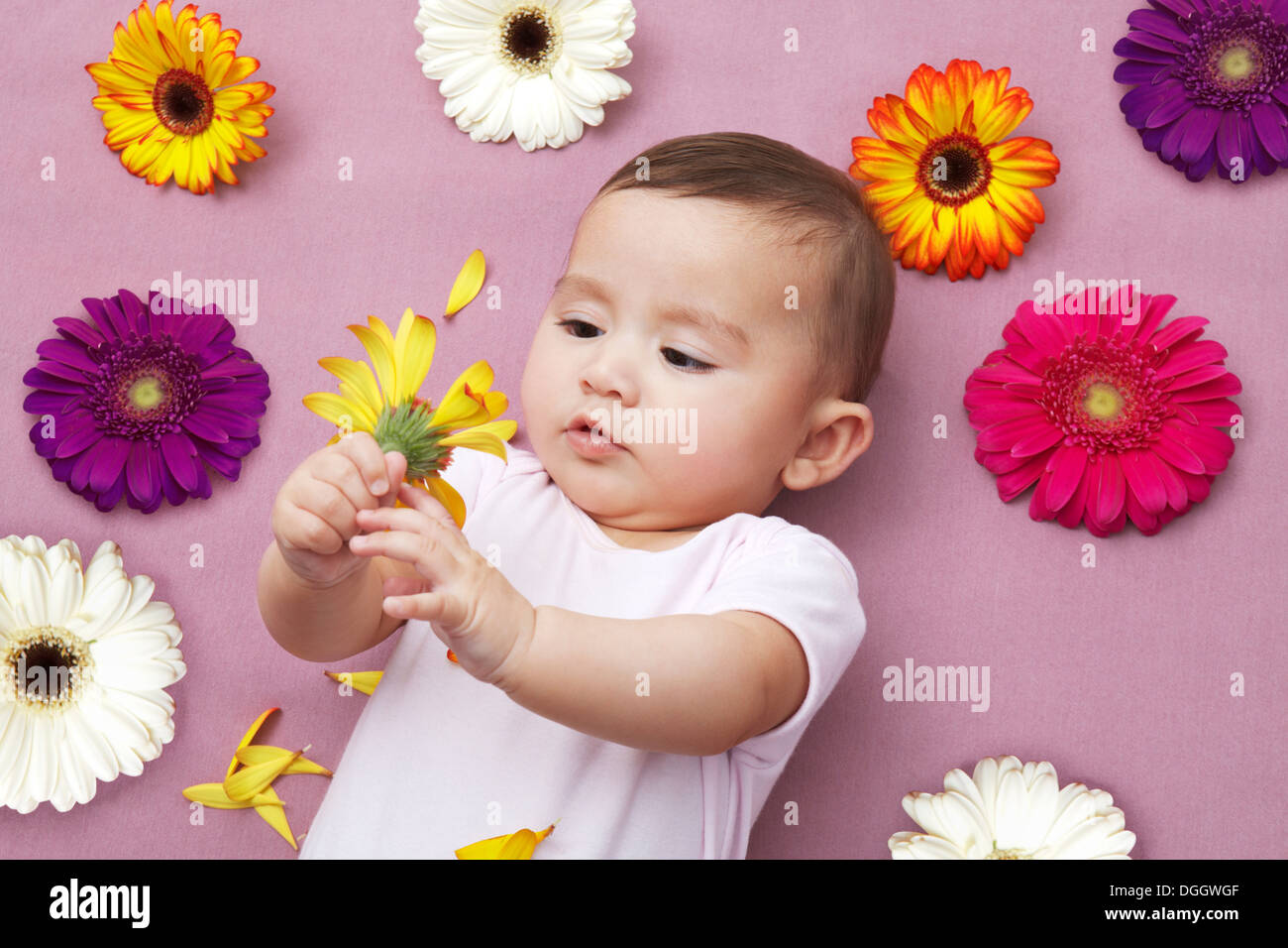 Baby girl holding flower Stock Photo - Alamy