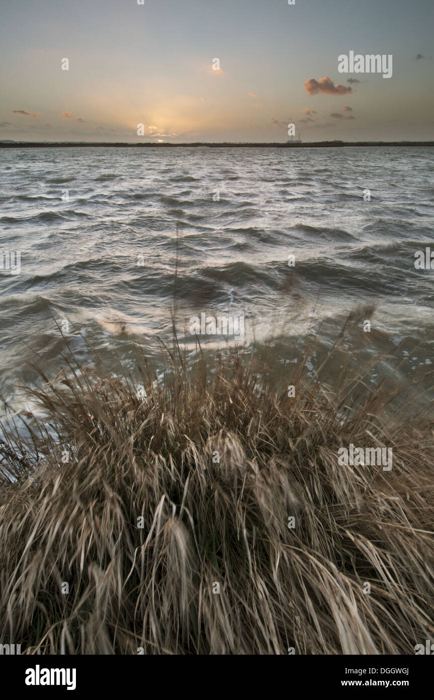 Estuary habitat in stormy weather at sunset Cliffe Pools RSPB Reserve ...